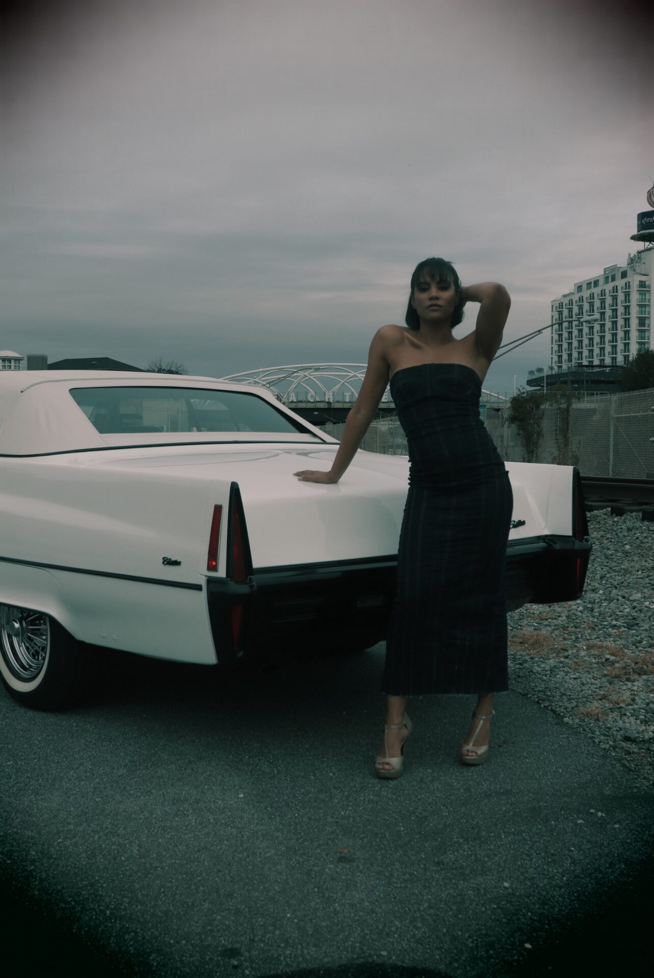 Danah Dane Dane: Superstar CEO Unveils Unique Blend Of Music And ...